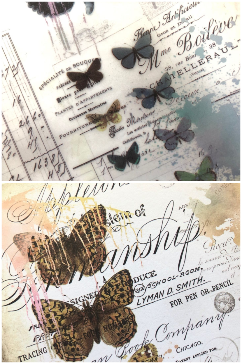 Vintage Butterfly Scrapbook background – Sandxusa